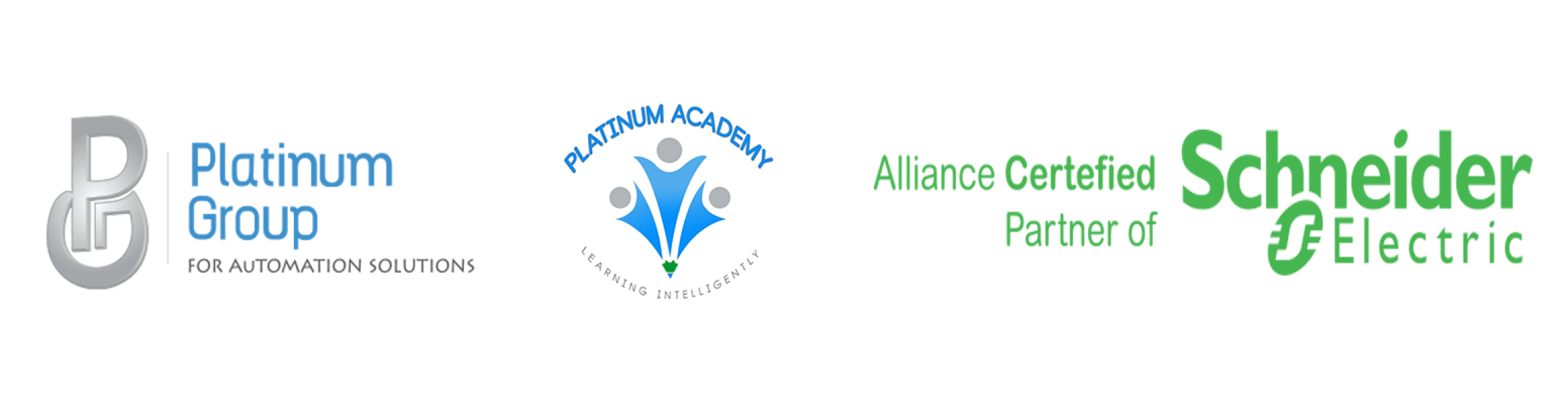 Platinum Group
